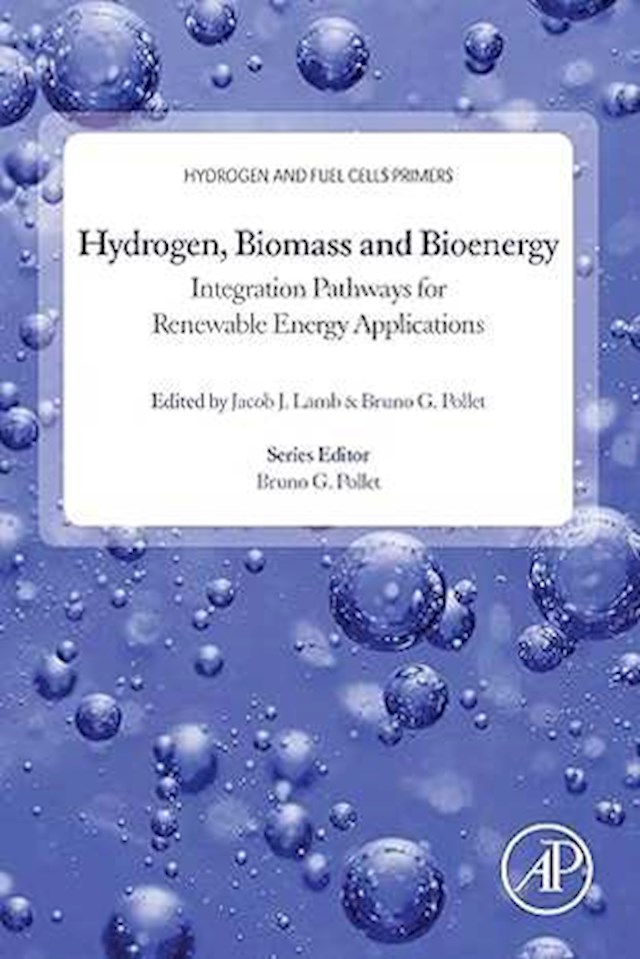Hydrogen, Biomass and Bioenergy: Integration Pathways for Renewable ...